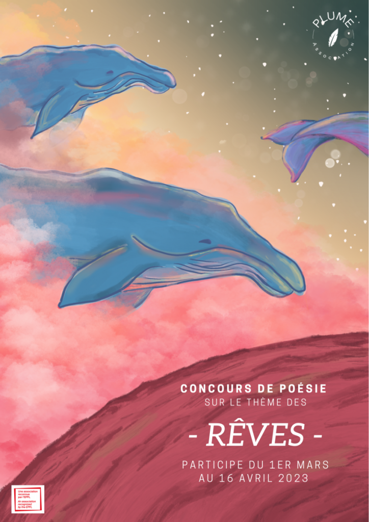 Events – Rachel Falconer